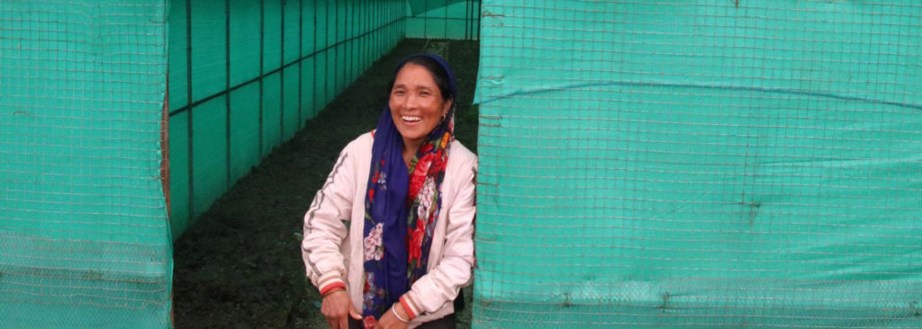 Women can be agents of change! - Energia | Energia