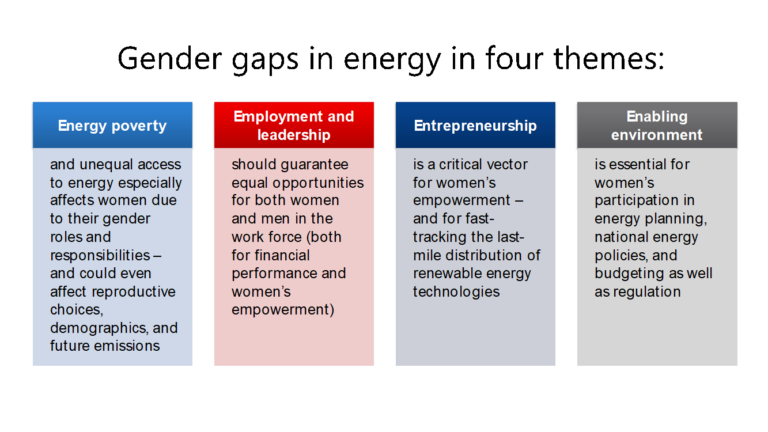 Post 2030 Vision: Prioritizing Gender Indicators for a Just and ...